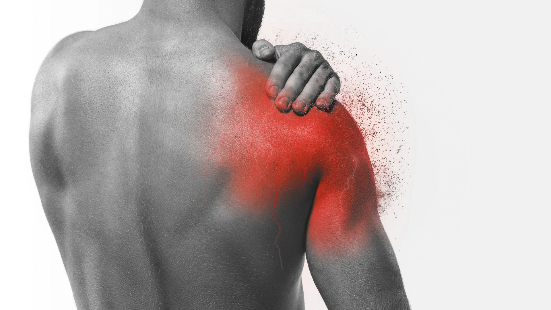 The Shoulder Rotator Cuff: Common Problems and Solutions – Tay Sports ...